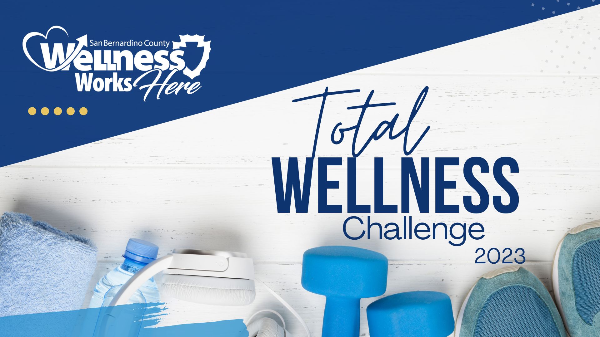 Employee Wellness Program – Human Resources Department